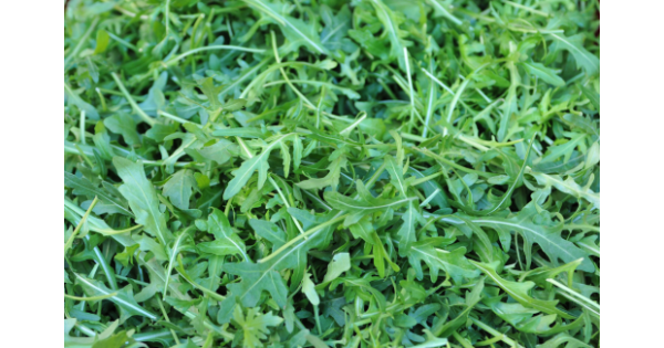 Дива Рукола / Rucola Selvatica