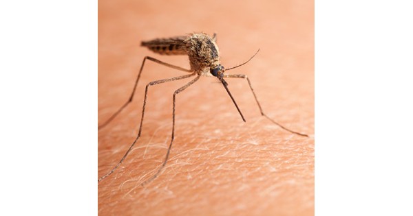 Зиг Заг Insetti Via Sport - репелент лосион против насекоми, комари ...