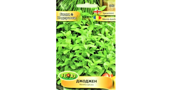 Джоджен / Mentha spicata
