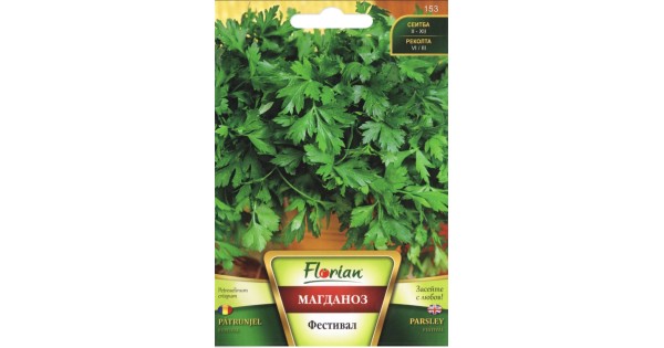 Магданоз - Фестивал