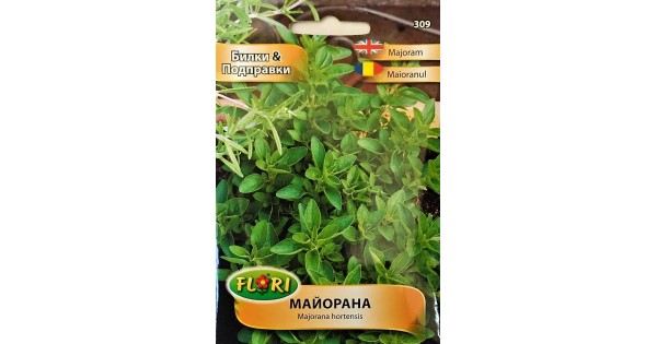 Майорана / Majorana hortensis