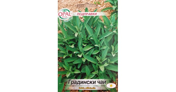 Градински чай (Салвия) Salvia officinalis