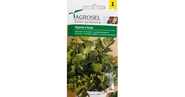 Магданоз Италиански гигант