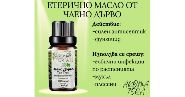 Етерично масло от Чаено дърво
